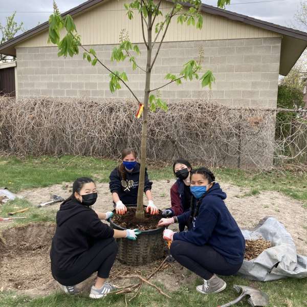 Tree Utah - Programs